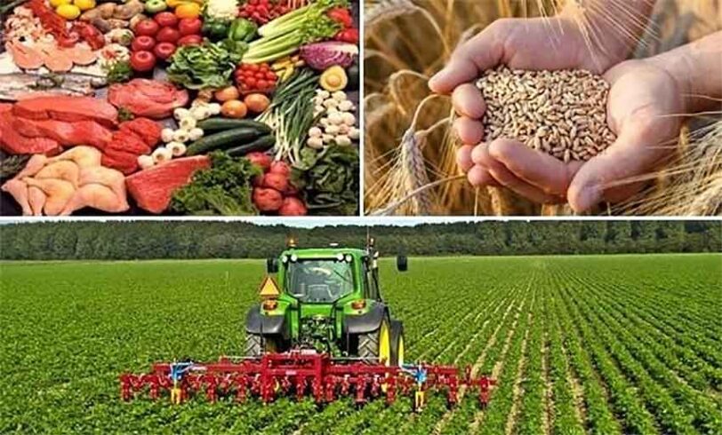 Agriculture - Groupe La Belle